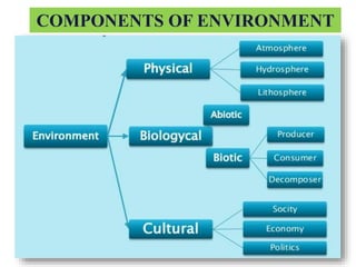 Science and environment | PPT