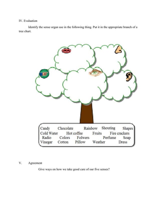 Detailed Lesson Plan in Science and Health Grade 3 Sense Organ | DOCX ...