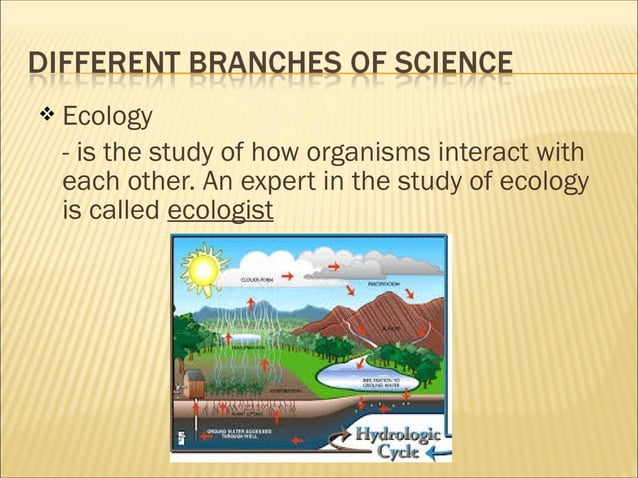 Science and technology a | PPT | Chemistry | Science