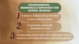 ENVIRONMENTAL AWARENESS (SCIENCE, TECHNOLOGY AND SOCIETY) | PPTX