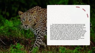 Science Art Integrated Activity.pptx Class 10 | PPTX