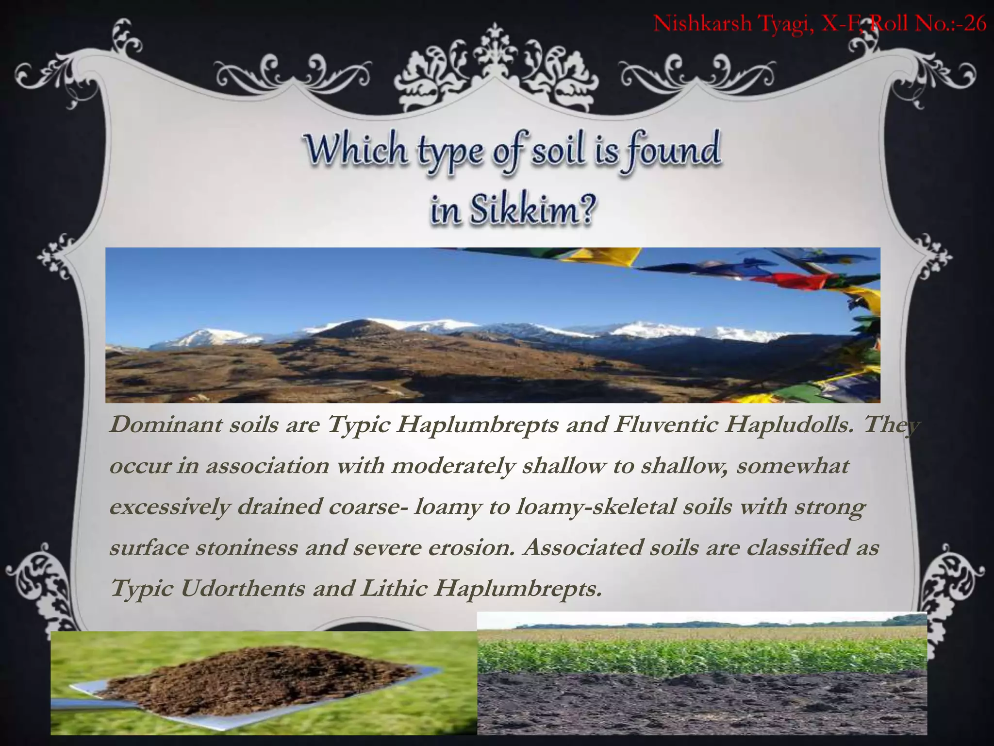 SIKKIM SCIENCE ART INTEGRATION ACTIVITY | PPTX