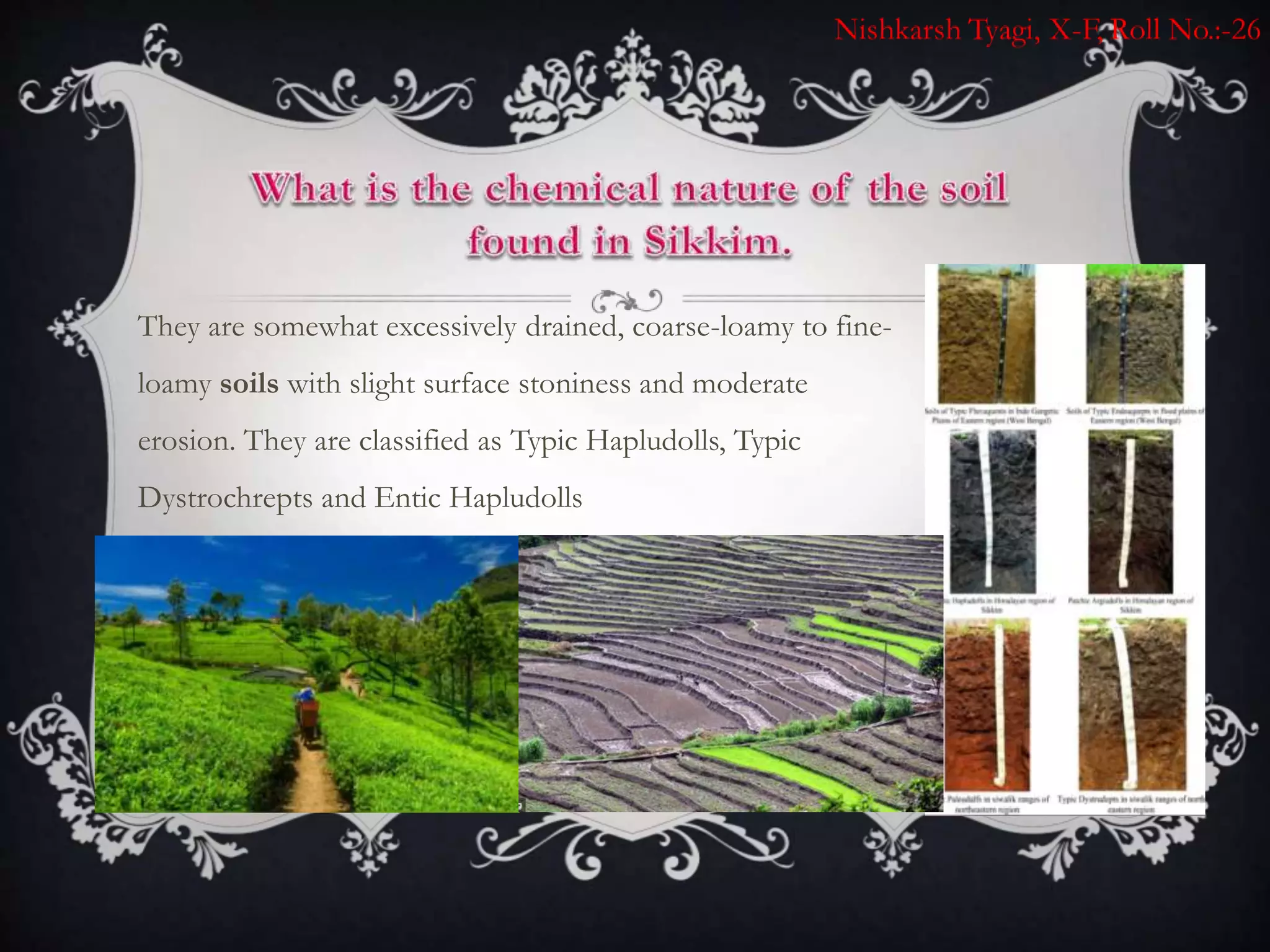 SIKKIM SCIENCE ART INTEGRATION ACTIVITY | PPTX