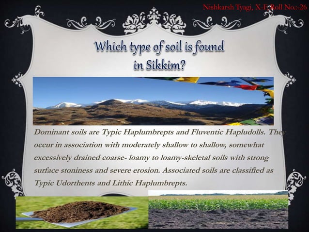 SIKKIM SCIENCE ART INTEGRATION ACTIVITY | PPTX