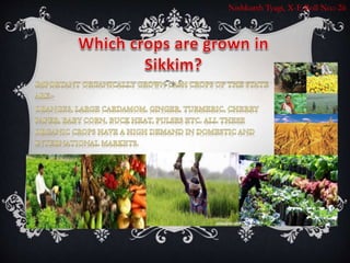 SIKKIM SCIENCE ART INTEGRATION ACTIVITY | PPTX