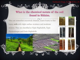 SIKKIM SCIENCE ART INTEGRATION ACTIVITY | PPTX