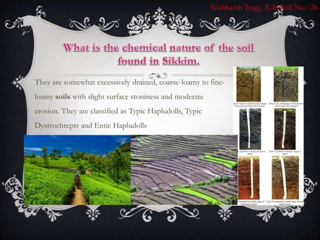 SIKKIM SCIENCE ART INTEGRATION ACTIVITY | PPTX