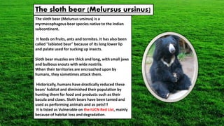 SCIENCE ART INTEGRATION.pdf