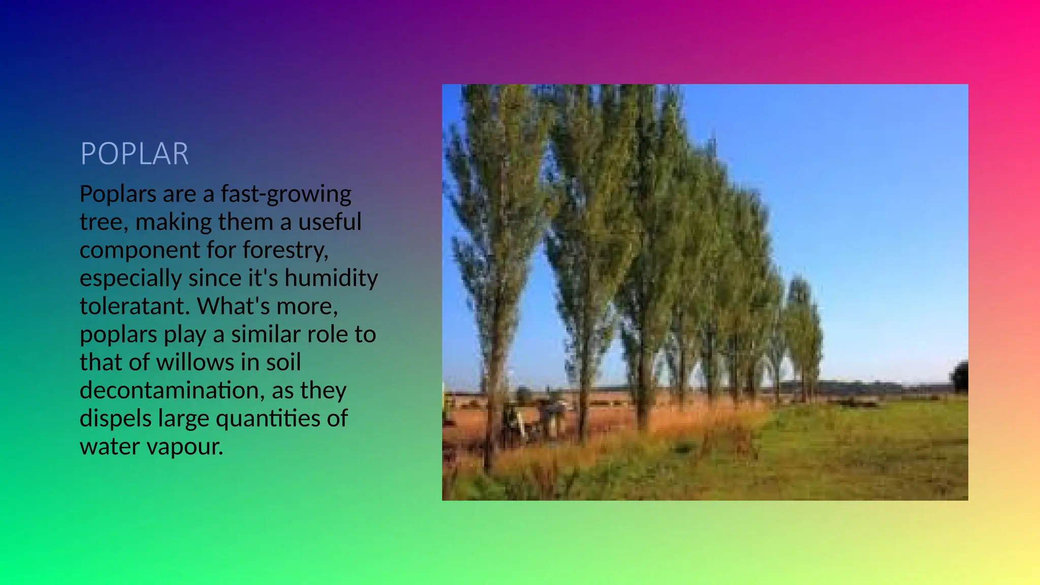 Science Art Integrationeducation Project.pptx