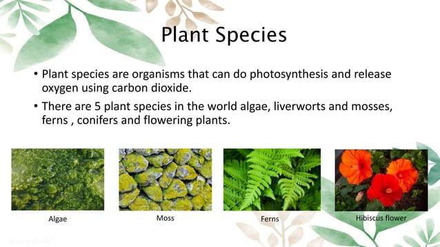 Science assignment | PPT