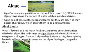 Science assignment | PPT