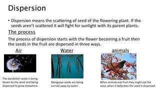 Science assignment | PPT