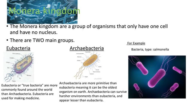 Science assignment | PPT