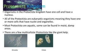 Science assignment | PPT