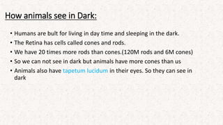 Science behind night vision camera | PPTX