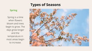 Science behind the seasons | PPT