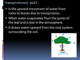 Science (biology) | PPT