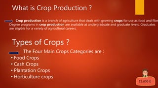 crop production and management power point production | PPTX
