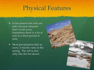 Desert Hot and Cold | PPTX