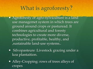 Science - Forest Exploitation | PPT | Free Download