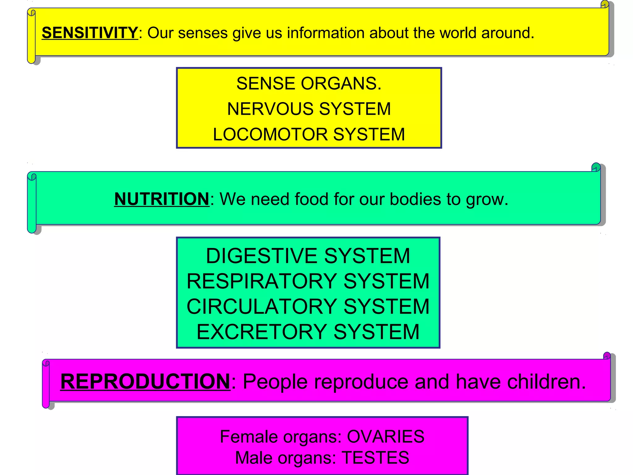 Science body systems year 3 easy | PPT