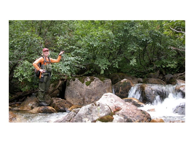 Forage Fish and the Puget Sound Food Web, a Science Cafe presentation | PPT