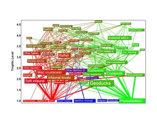 Forage Fish and the Puget Sound Food Web, a Science Cafe presentation | PDF
