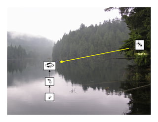 Forage Fish and the Puget Sound Food Web, a Science Cafe presentation | PDF