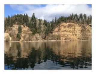 Forage Fish and the Puget Sound Food Web, a Science Cafe presentation | PDF