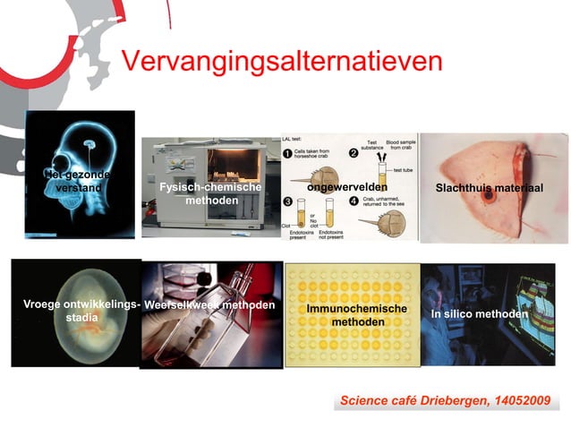 Dierproeven en alternatieven voor dierproeven | PPT