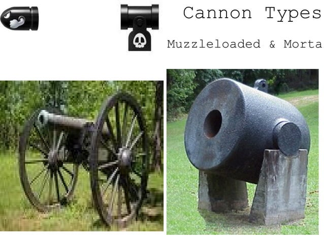 Science cannon presentation | PPT