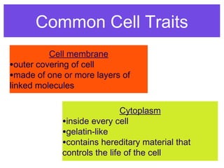2.1 Cells | PPT | Biological Sciences | Science