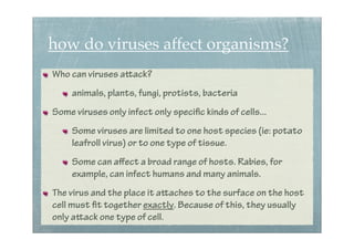 Viruses | PPT