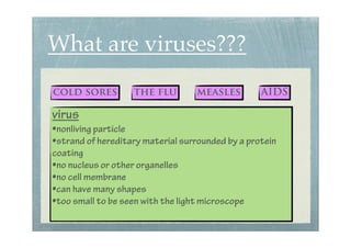 Viruses | PPT
