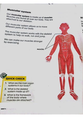 Science Chapter 1 P3 (3).pdf