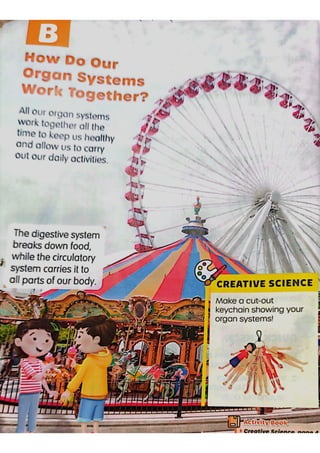 Science Chapter 1 P3 (3).pdf