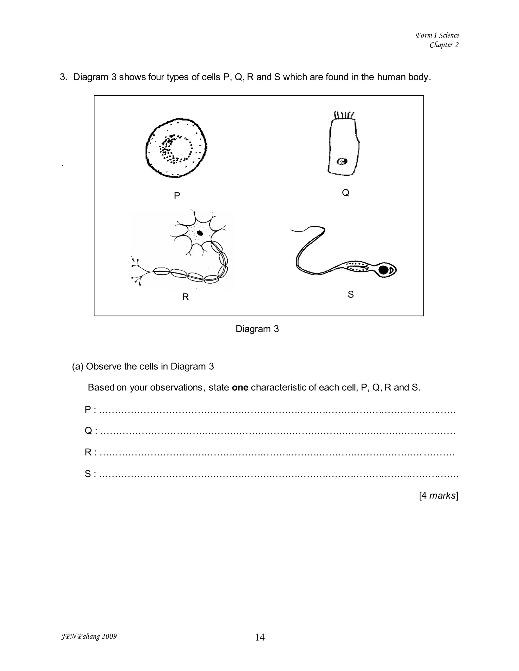 Science chapter 2 | DOC