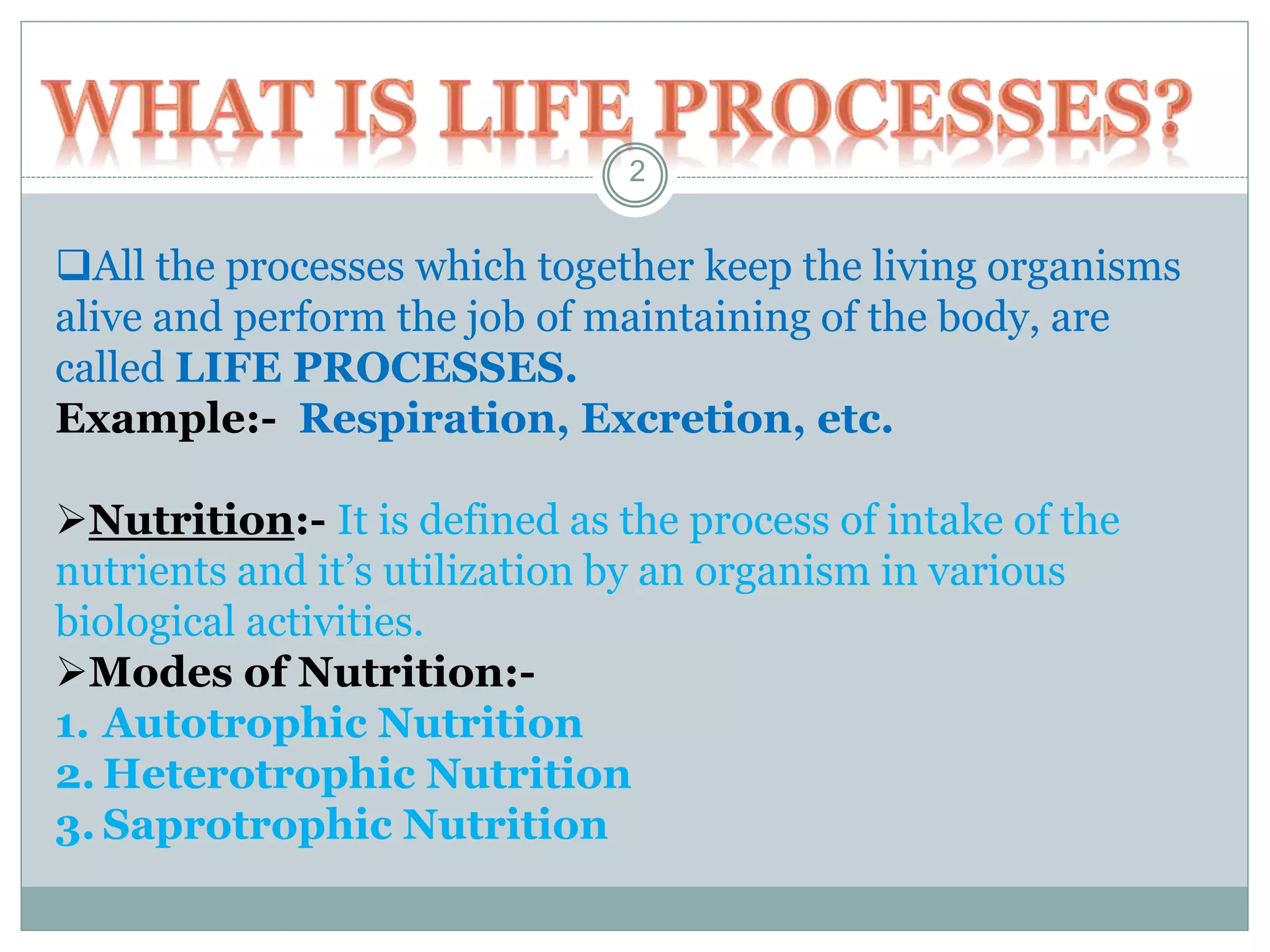 Life Processes Class 10th PPT | PPTX