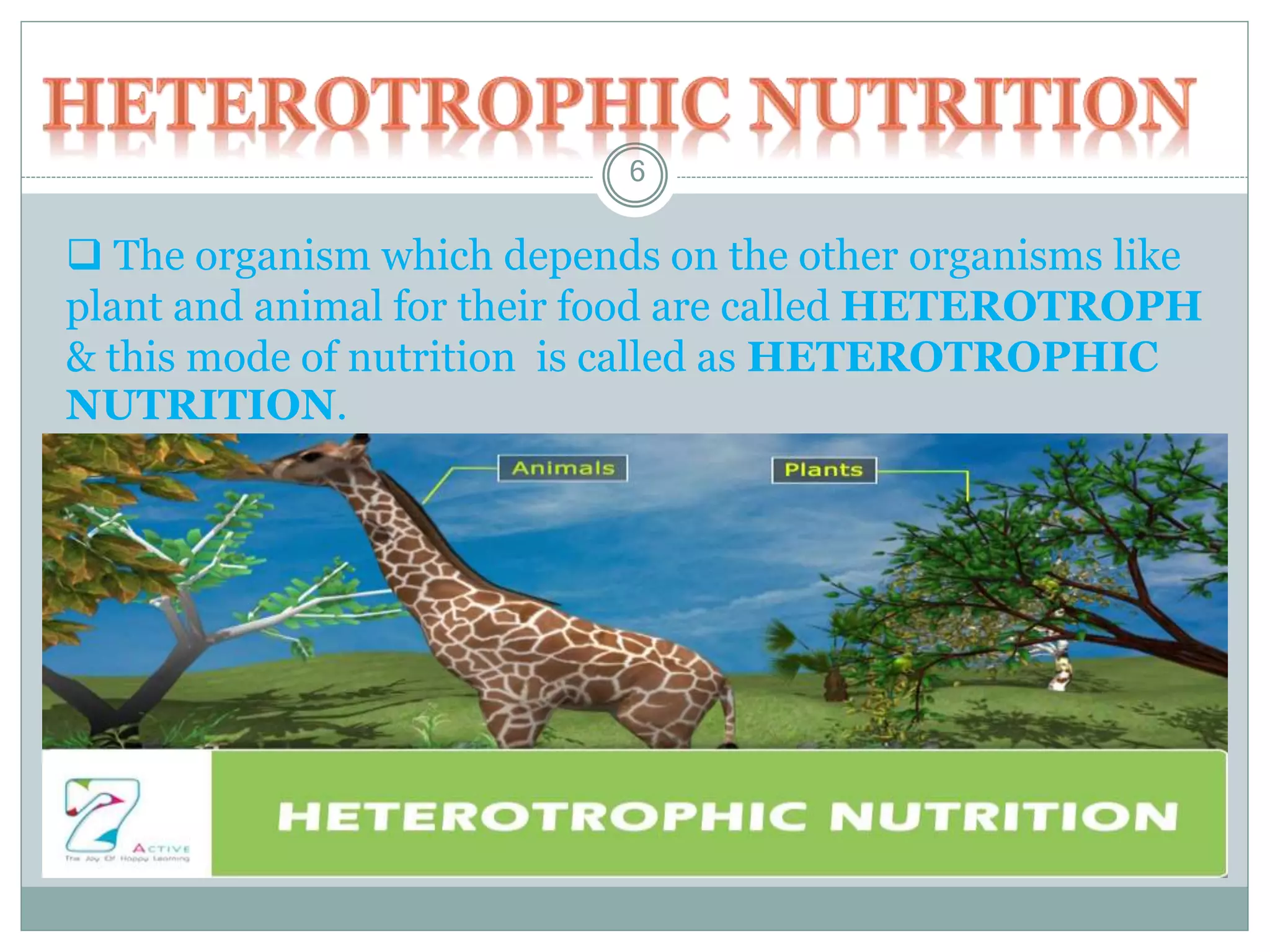 Life Processes Class 10th PPT | PPTX