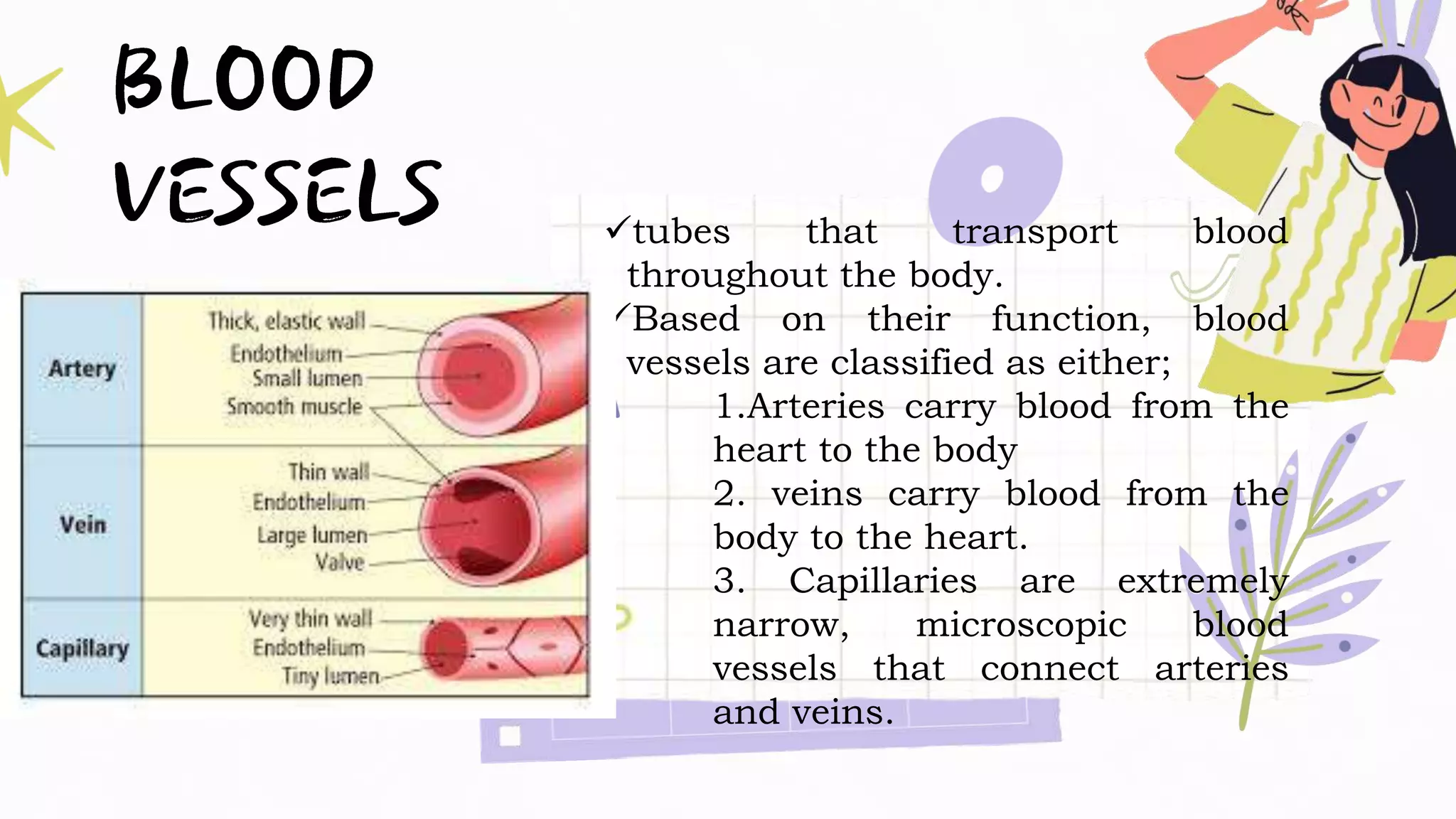 SCIENCE CIRCULATORY SYSTEM.pptx