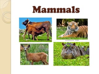 Science class | PPTX