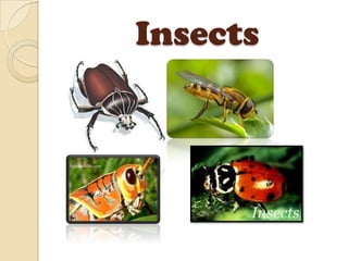 Science class | PPTX