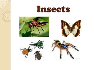 Science class | PPTX