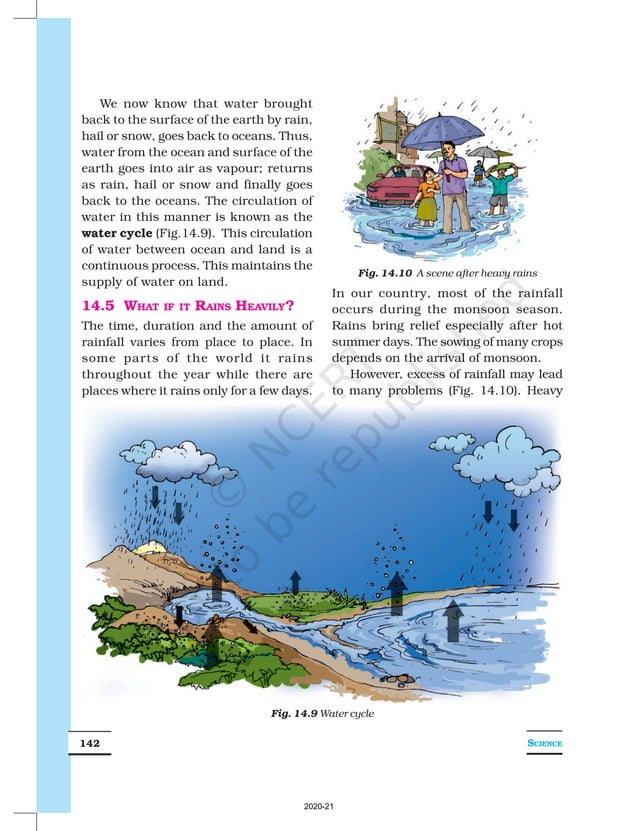Science class 6 chapter 14 book pdf class 6 | PDF