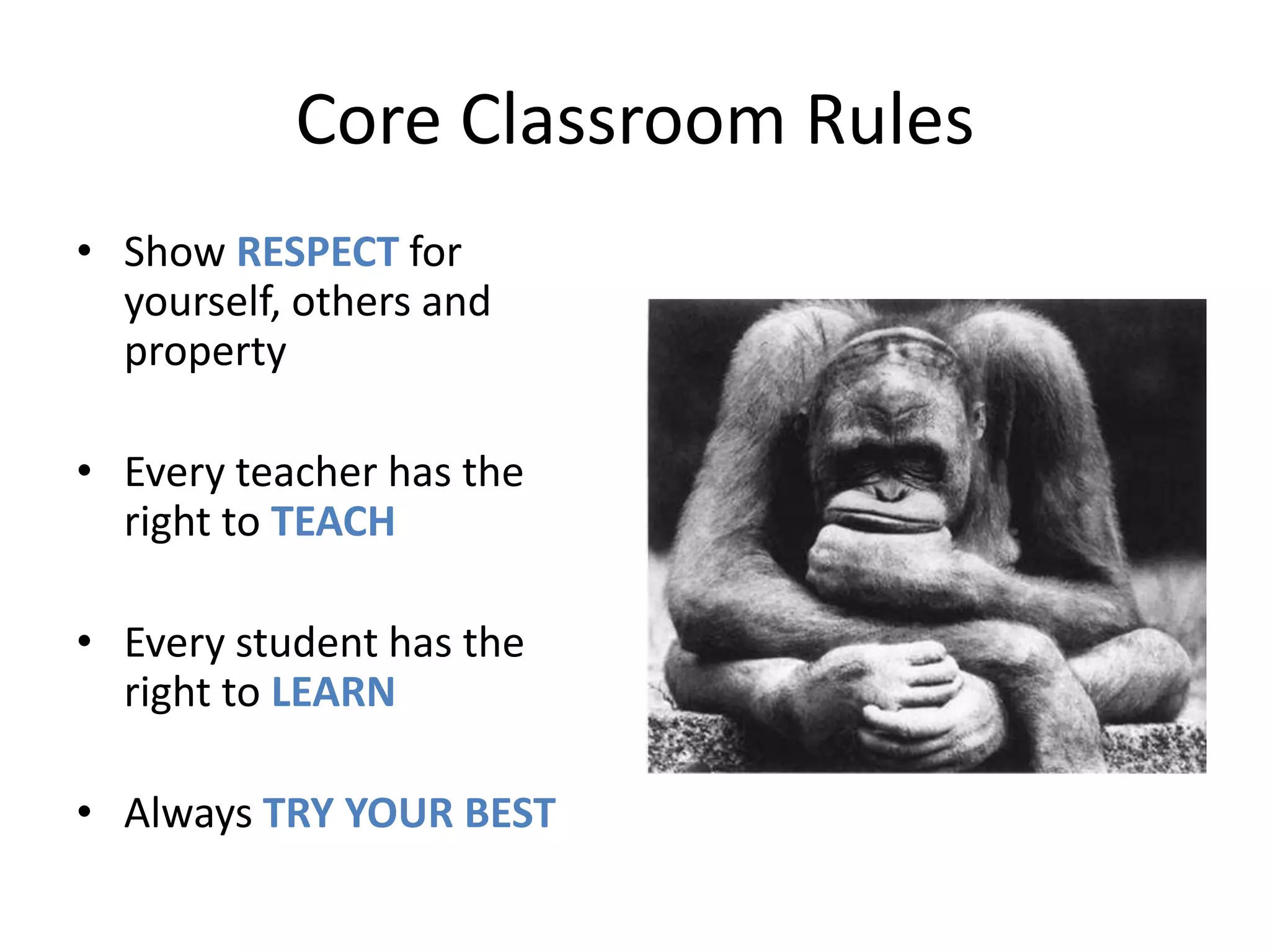 Science classroom rules | PDF