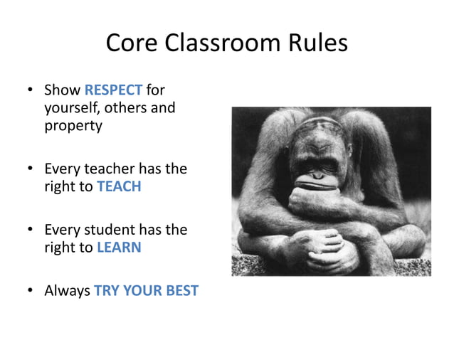 Science classroom rules | PDF