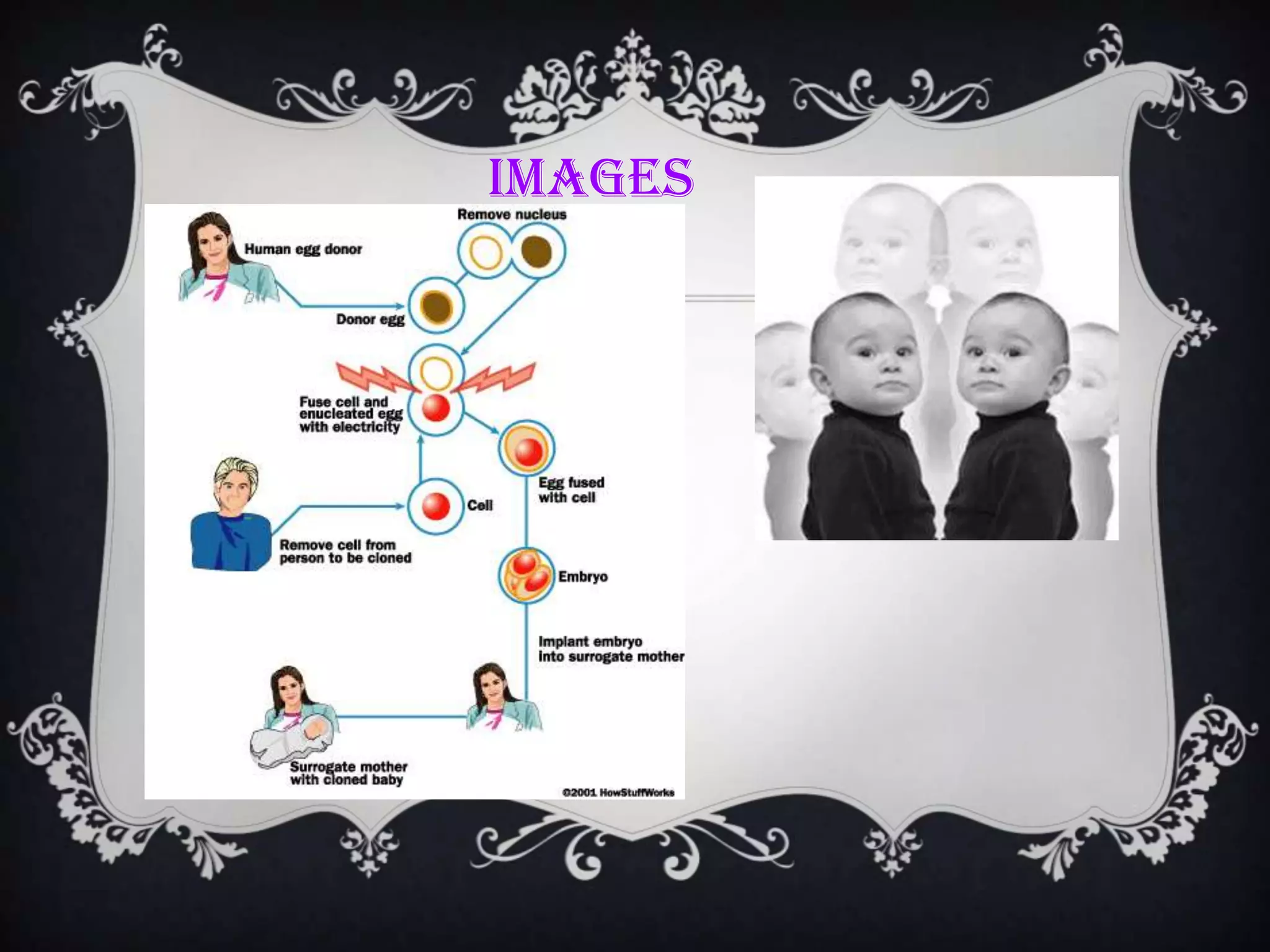 Science cloning | PPT