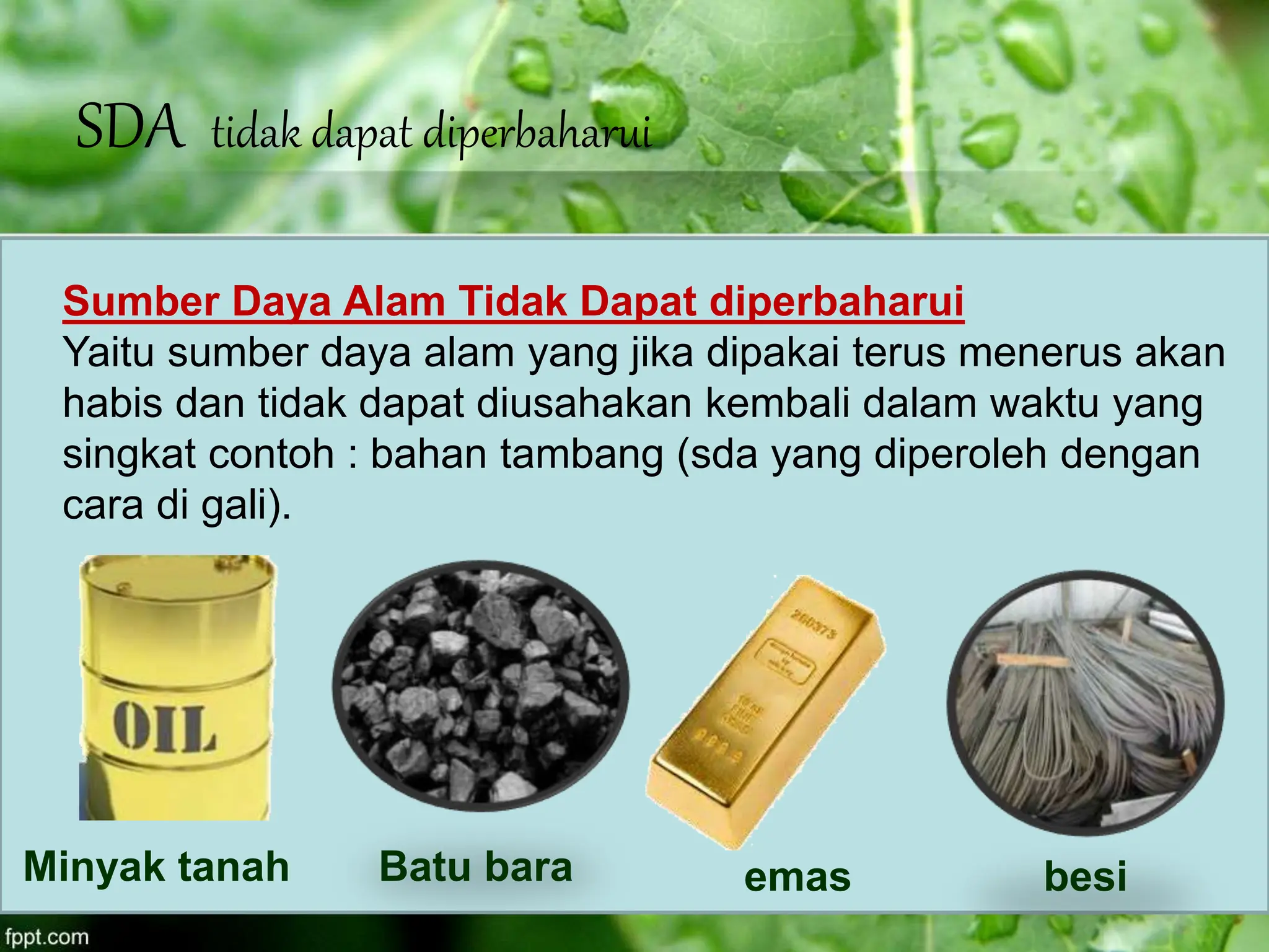 Science Club SDA.pdf