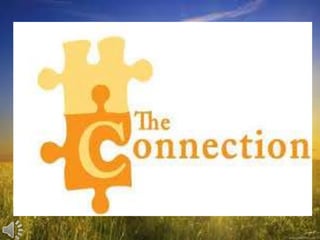 Science connections | PPT