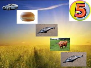 Science connections | PPT